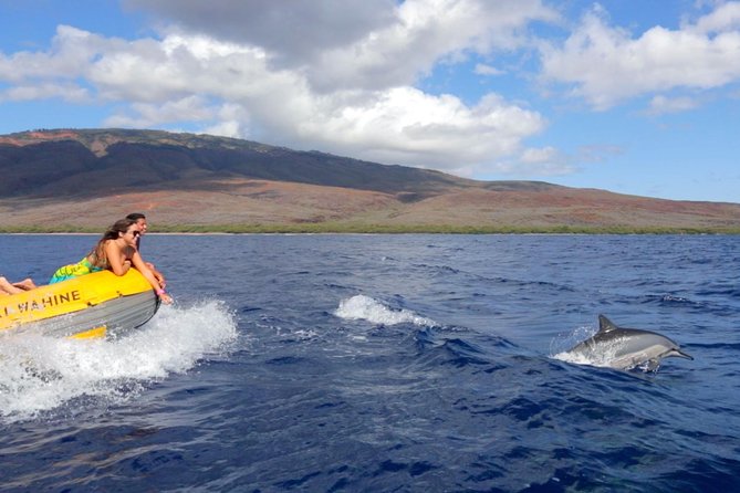 Lanai Deluxe Dolphin Adventure & 3 Snorkel Sites - The Value of This Tour  