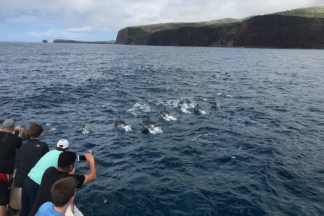 Lanai Snorkel and Dolphin Watch from Maalaea - The Itinerary Breakdown