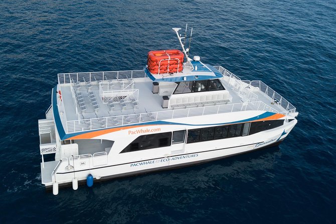 Lanai Snorkel and Dolphin Watch from Maalaea - Practical Tips for Making the Most of Your Trip