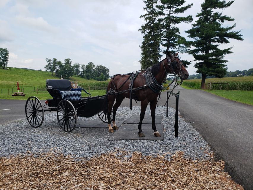 Lancaster: Downtown & Amish Country Authentic Lancaster Tour - Authenticity and Audience