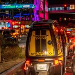 Land and Air Combo Tour: Talking GoCar and Helicopter - What to Expect from the Itinerary
