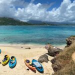 Lanikai to Mokulua islands Stand Up Paddle Board Tour - What to Expect from the Tour
