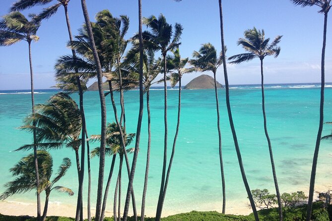 Lanikai to Mokulua islands Stand Up Paddle Board Tour - Who Should Try This?