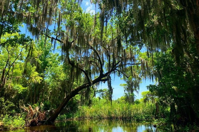 Large Airboat Swamp Tour with Transportation from New Orleans - Who Will Love This Tour?