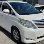 Las Vegas Airport (LAS) to Lake Las Vegas - Round-Trip Transfer - The Experience in Practice