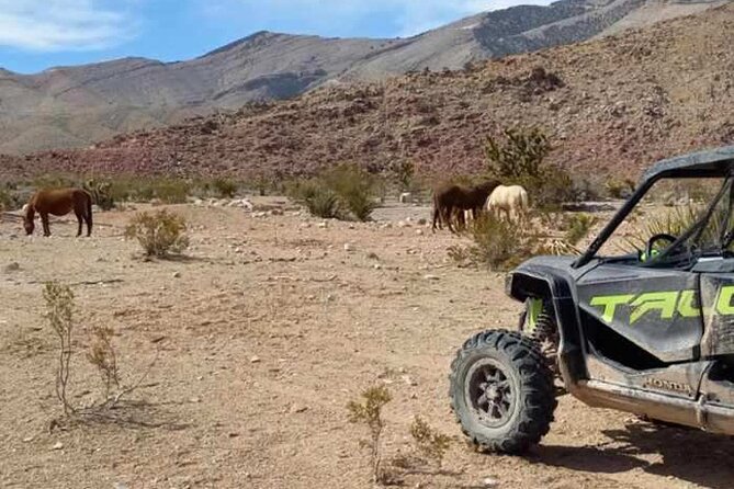 Las Vegas ATV/ RZR Off Road Adventure - The Gear and Safety