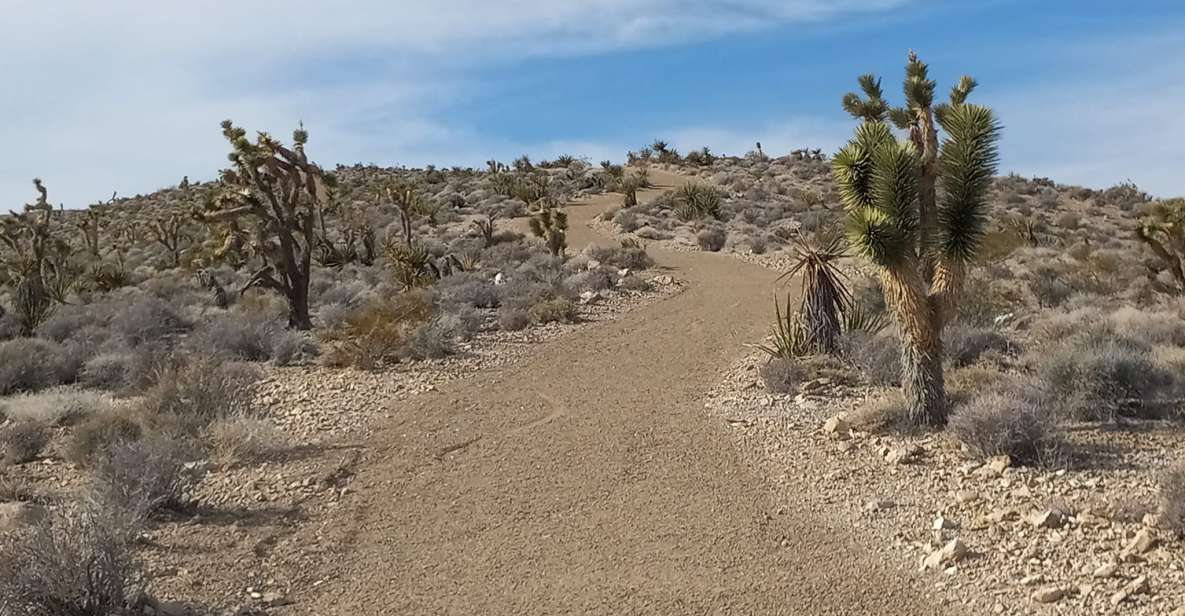 Las Vegas ATV Tours - Introduction