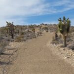 Las Vegas ATV Tours - What to Expect from the Las Vegas ATV Experience
