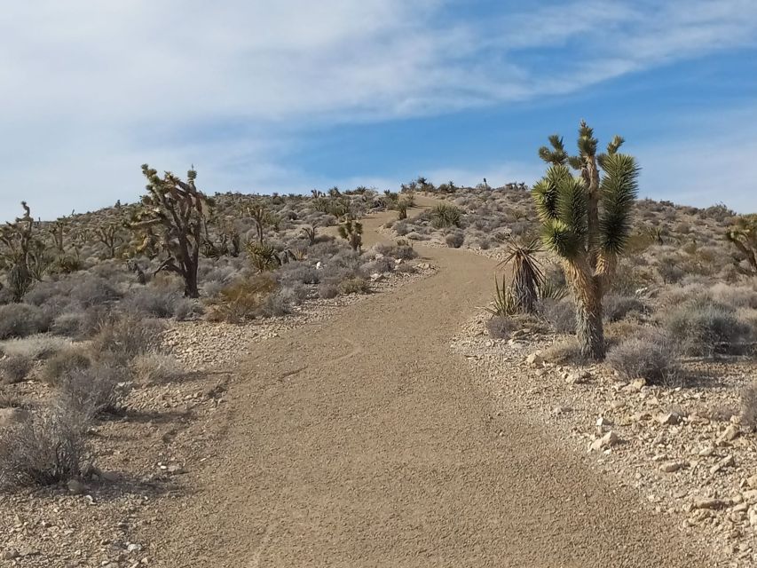 Las Vegas ATV Tours - What to Expect from the Las Vegas ATV Experience