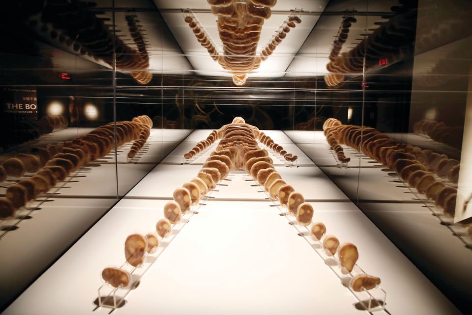 Las Vegas: BODIES | The Exhibition at the Luxor - FAQ