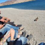 Las Vegas: Colorado River Adrenaline RZR Tour - The Real Value of the Tour