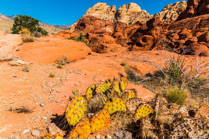 Las Vegas Day Trips: 3-Day Self-Guided Audio Tour - An In-Depth Look at the 3-Day Self-Guided Tour