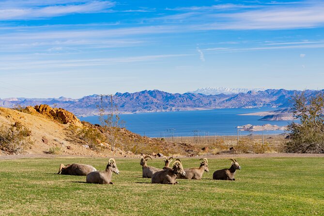 Las Vegas Day Trips: 3-Day Self-Guided Audio Tour - What This Tour Means for You