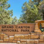 Las Vegas: Grand Canyon National Park South Rim Guided Tour - What Makes This Tour Special?