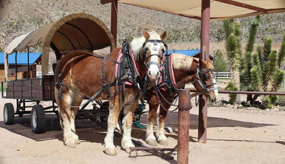 Las Vegas: Grand Canyon Ranch Tour with Horseback/Wagon Ride - Cost-Effectiveness and Value