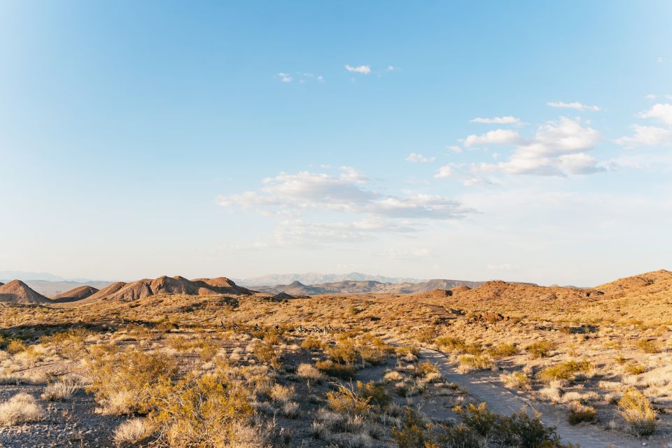Las Vegas: Guided Las Vegas Desert ATV Tour - How Does It Compare in Value?