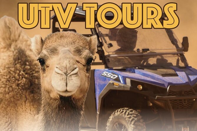 Las Vegas Guided UTV Safari and Zoo Tour - Key Points