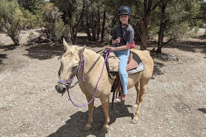 Las Vegas Horseback Riding Adventure in Mountain - An Honest Look at the Horseback Riding Experience Outside Las Vegas