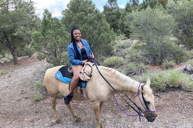Las Vegas Horseback Riding Adventure in Mountain - Who Should Book This Tour?
