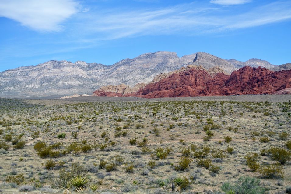 Las Vegas: Mojave, Red Rock Sign and 7 Magic Mountains Tour - FAQ