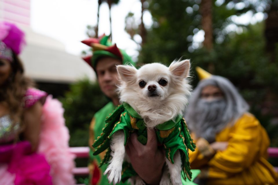 Las Vegas: Piff the Magic Dragon Show at the Flamingo - Final Thoughts: Who Will Love This Show?