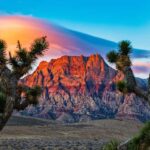 Las Vegas: Private Red Rock Canyon Guided Driving Adventure - Who Will Love This Tour?