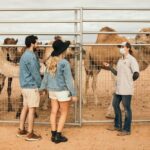 Las Vegas Safari Tram Ride and Zoo Tour at Camel Safari - Who Will Love This Tour?