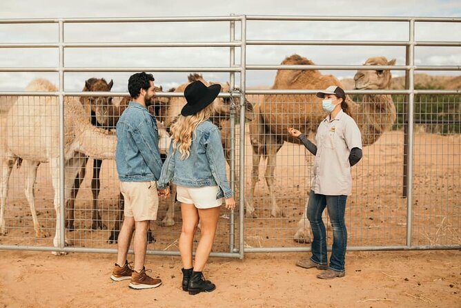 Las Vegas Safari Tram Ride and Zoo Tour at Camel Safari - Who Will Love This Tour?