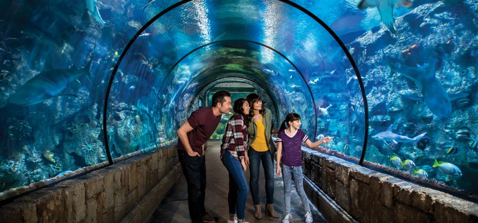 Las Vegas: Shark Reef Aquarium & VR Experience Entry Ticket - Overview of the Shark Reef Aquarium & VR Experience