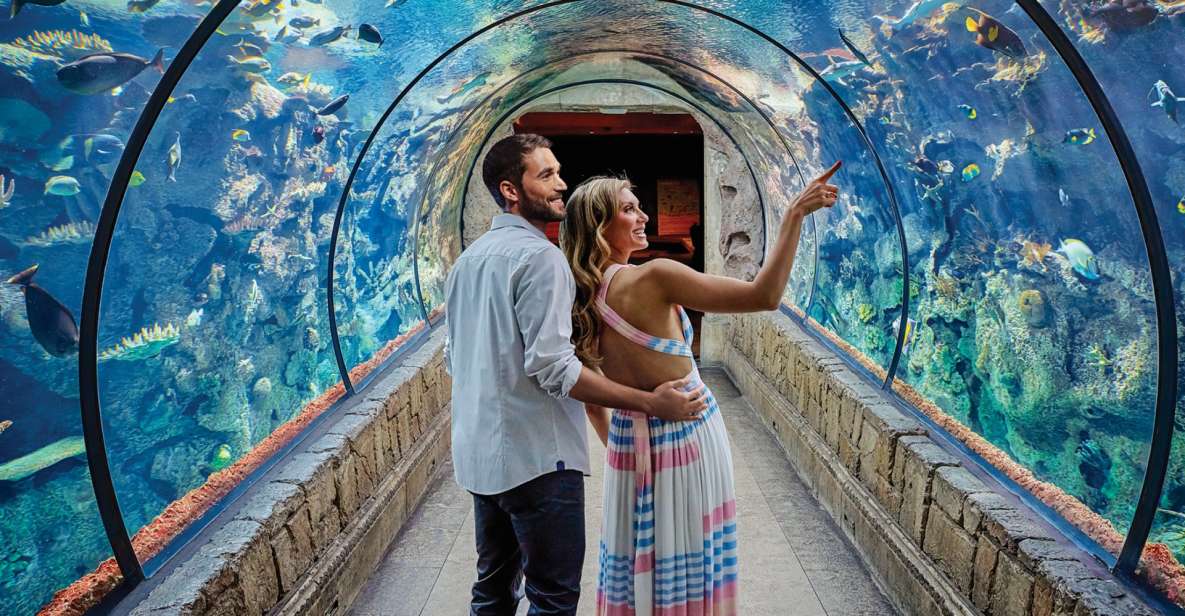 Las Vegas: Shark Reef Aquarium & VR Experience Entry Ticket - The Worth of the $30 Ticket