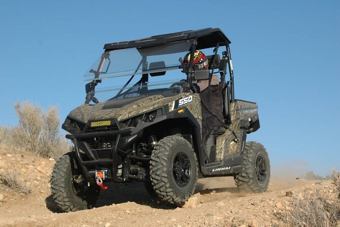 Las Vegas Zoo and UTV Tour With RT Transportation - The Zoo and Animal Encounters