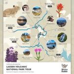 Lassen Volcanic National Park Self-Guided Audio Tour - Diamond Peak Scenic Vista: A Glimpse of Fire and Forest