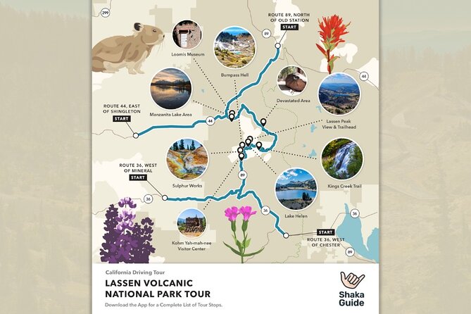Lassen Volcanic National Park Self-Guided Audio Tour - Diamond Peak Scenic Vista: A Glimpse of Fire and Forest