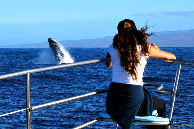 Late Morning Whale Watch Cruise from A'bay - Why This Tour Offers Good Value