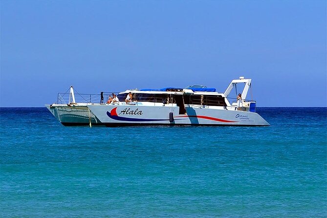 Late-Morning Whale Watch from Kawaihae - Final Thoughts