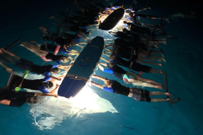 Late Night Manta Snorkel - A Deep Dive into the Manta Night Experience