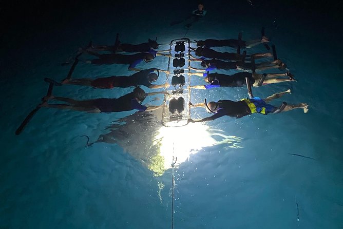 Late Night Manta Snorkel - Who Will Love This Tour?