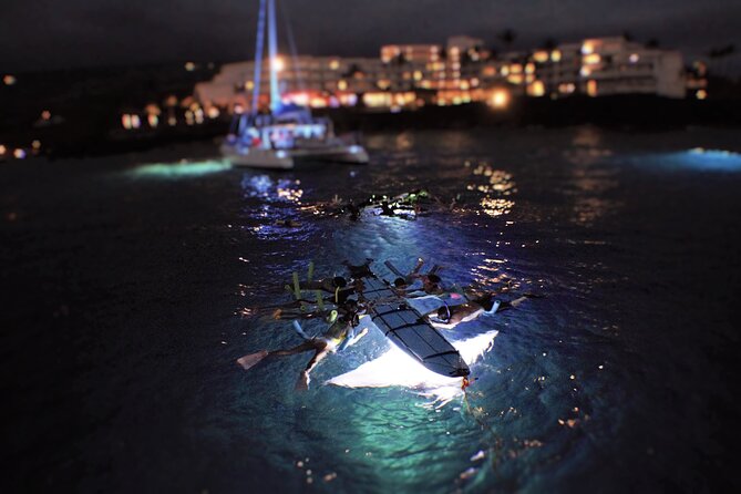 Late Night Manta Snorkel - Practical Tips for a Smooth Experience