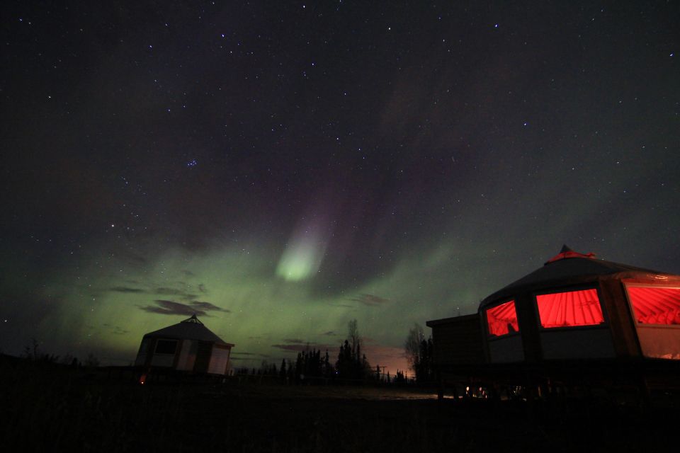 Late Night Yurt Dinner and Northern Lights - Authentic Experiences from Reviewers