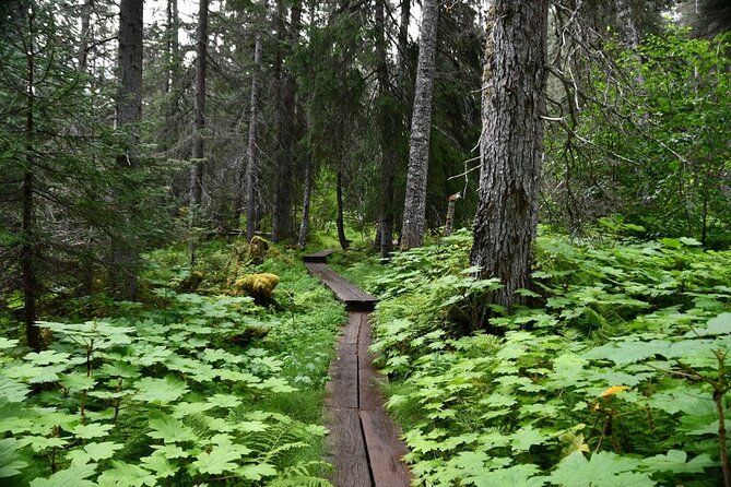 Laughton Glacier Hike and White Pass Rail Adventure - Key Points