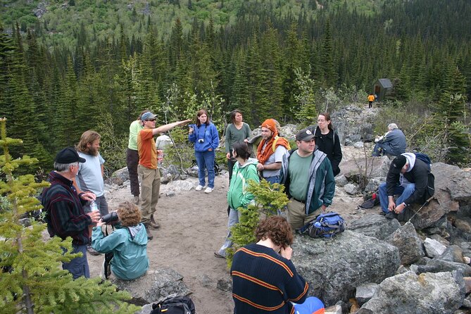 Laughton Glacier Hike and White Pass Rail Adventure - Final Thoughts: Is This Tour Right for You?