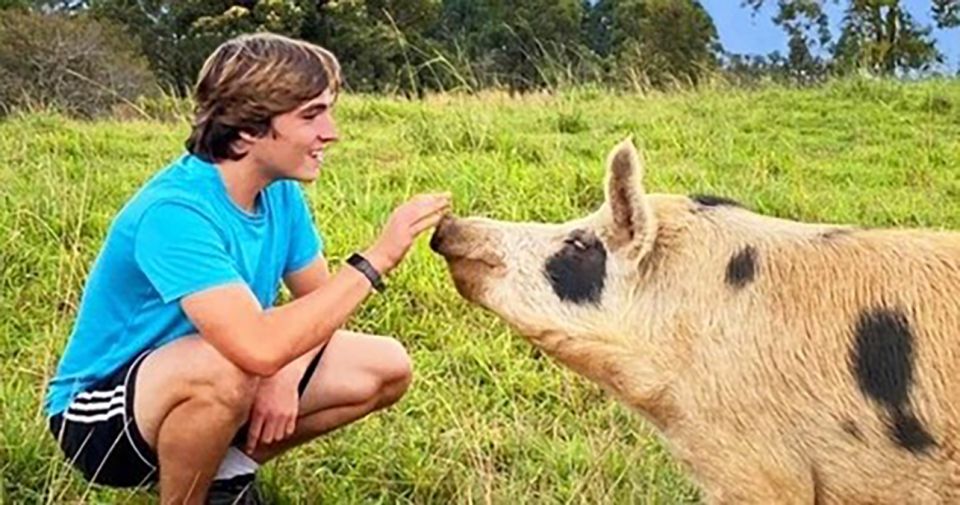 Laupahoehoe: Farm Animal Sanctuary Private Tour - Key Points:  