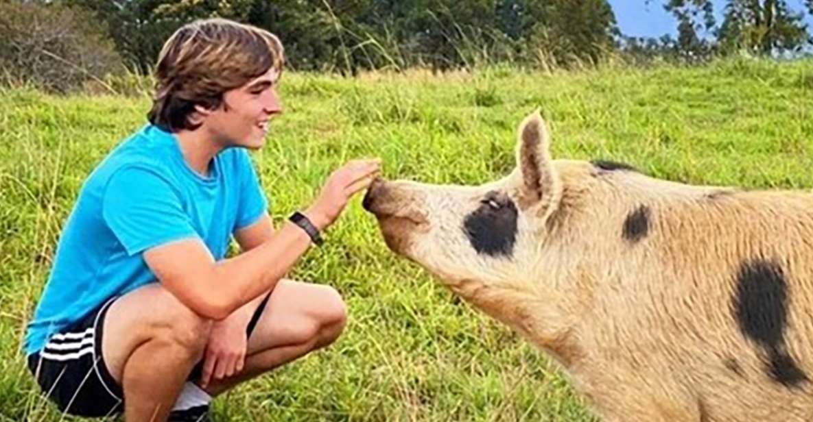 Laupahoehoe: Farm Animal Sanctuary Private Tour - An In-Depth Look at the Laupahoehoe Sanctuary Tour