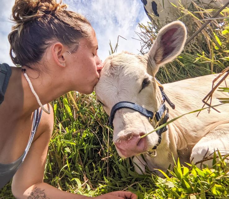 Laupahoehoe: Farm Animal Sanctuary Private Tour - FAQs
