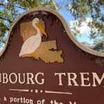 Le Faubourg Tremé guided tour in French - Who Will Love This Tour?