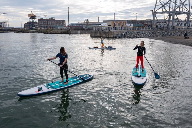 Learn to Paddle Board on the San Francisco Bay! - The Instruction and Learning Process