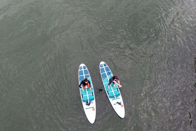 Learn to Paddle Board on the San Francisco Bay! - The Guides and Their Expertise