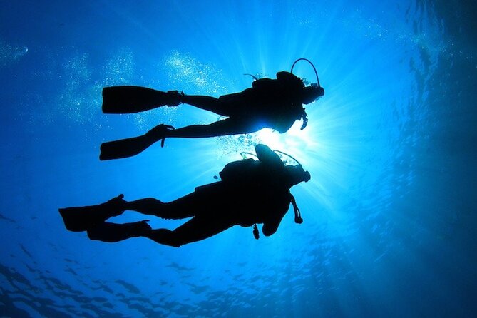 Learn to Scuba Dive with a Professional Instructor in Key Largo - All Inclusive - Practical Tips for Your Day