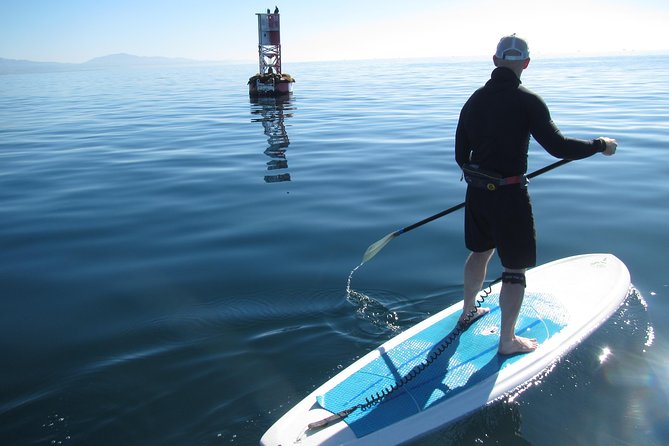Learn to Stand-Up Paddle Board (SUP) in Santa Barbara - Why Choose This SUP Tour in Santa Barbara?