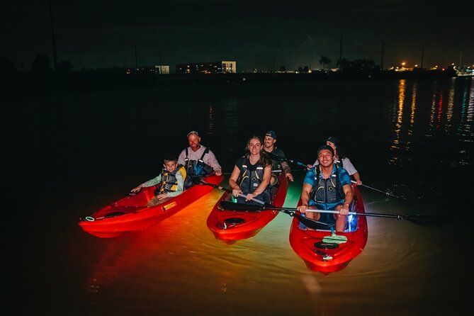 LED Bio Comb Jelly Clear Bottom Kayak or Paddleboard Tour! - An In-Depth Look at the Experience